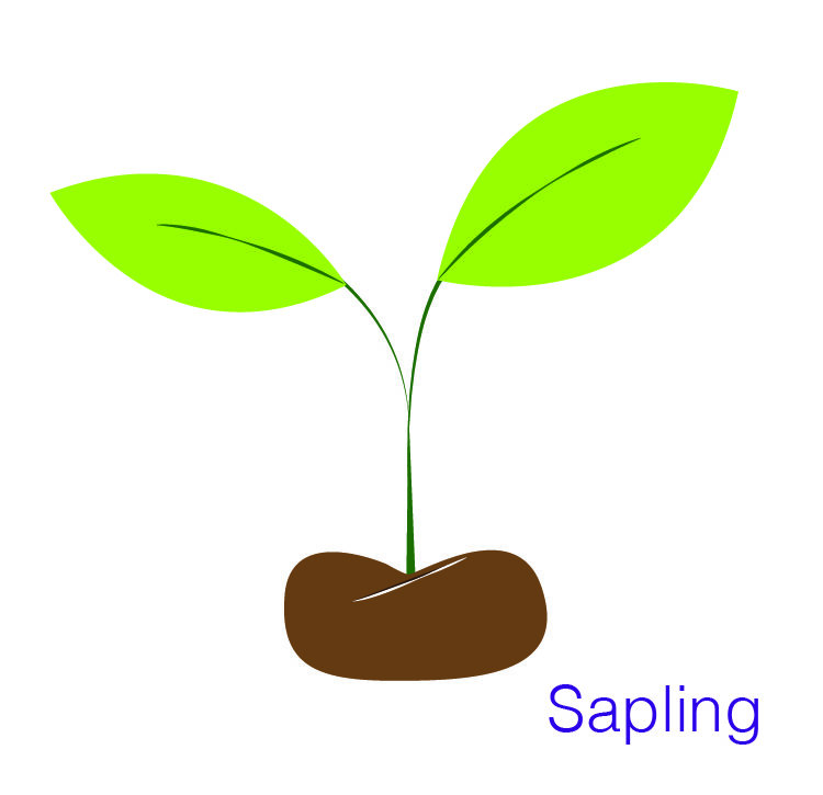 Classrooms - Northshire Day School